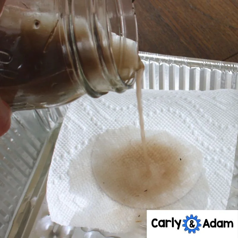 The Water Princess Water Filter STEM Challenge — Carly and Adam