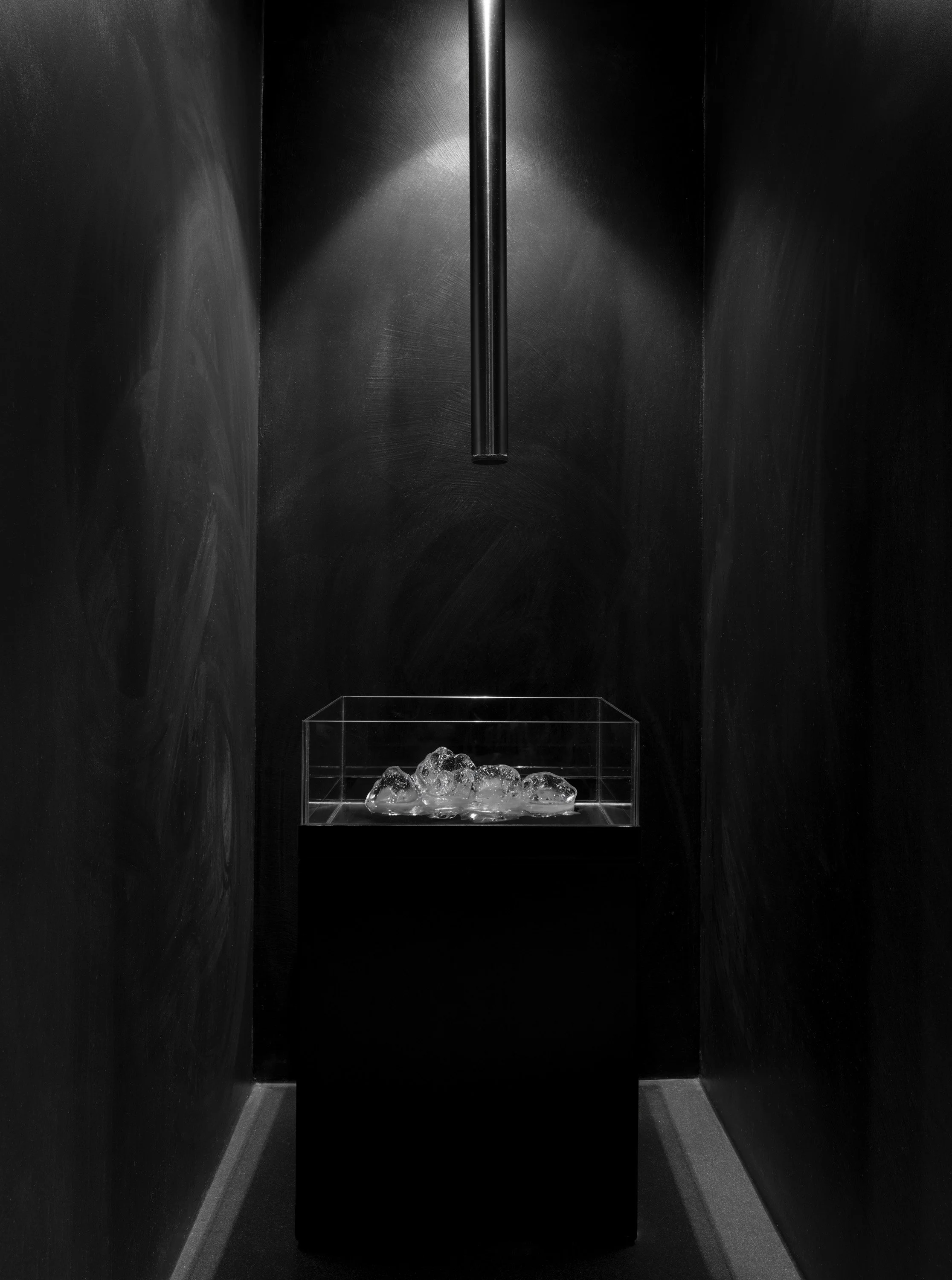 Greifs — SEBASTIAN ZENKER INTERIOR