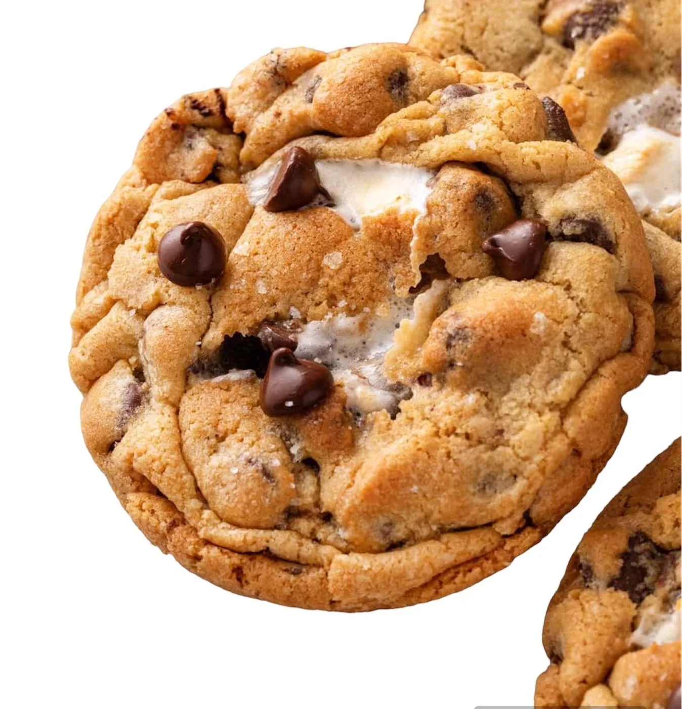 Shubh Kitchen - Gourmet Cakes and Treats