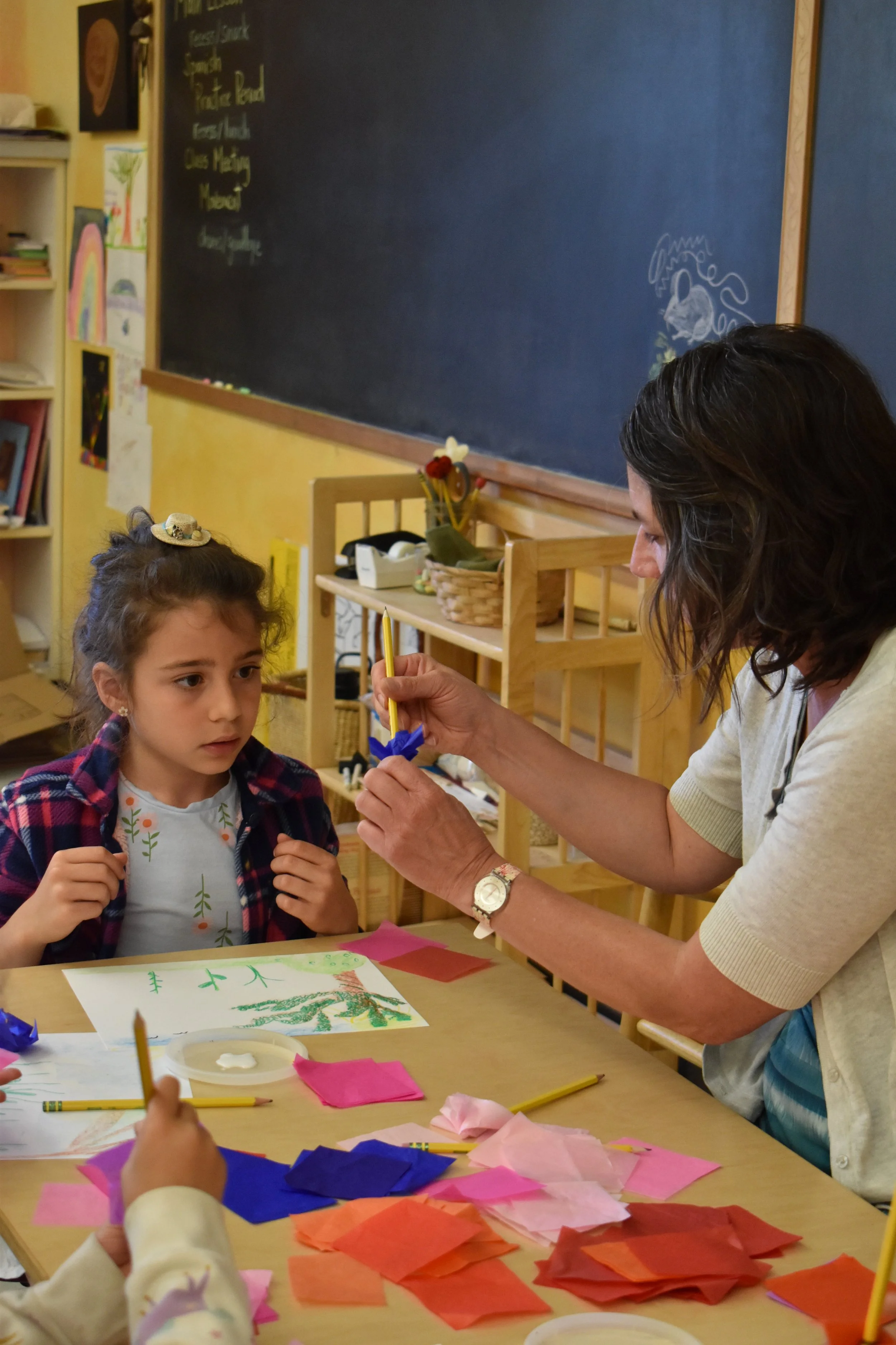 Swallowtail - Waldorf School and Farm