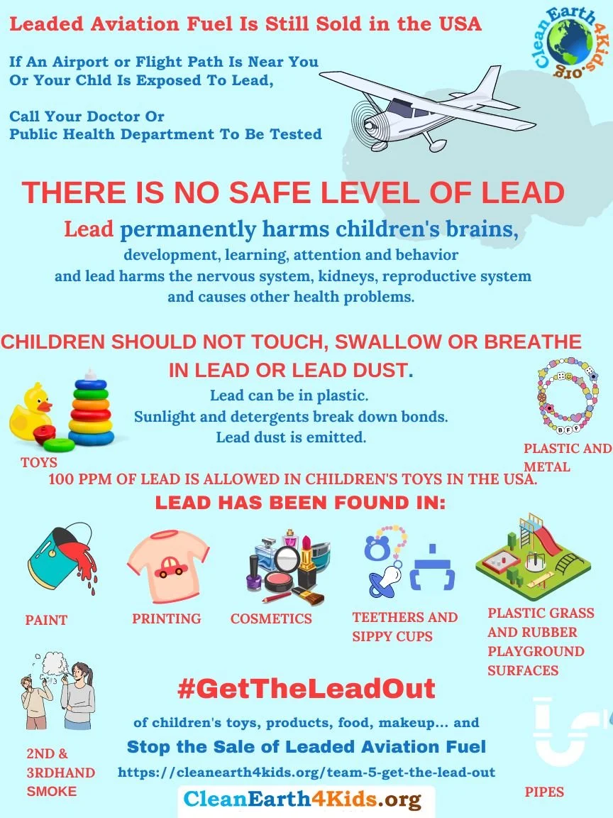 Team 5: Get the Lead Out — CleanEarth4Kids.org