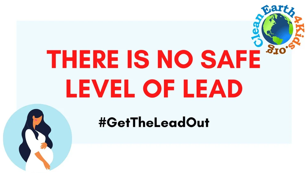 Team 5: Get the Lead Out — CleanEarth4Kids.org