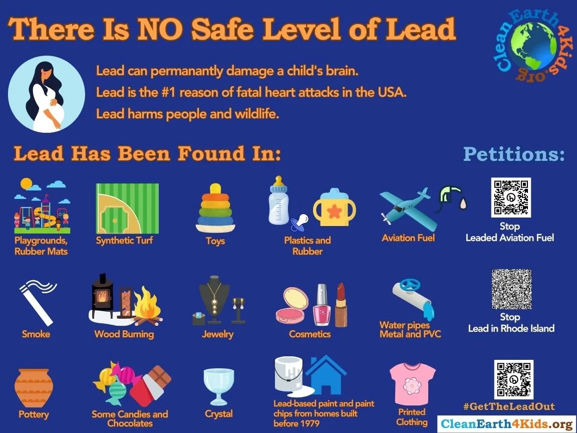 Team 5: Get the Lead Out — CleanEarth4Kids.org