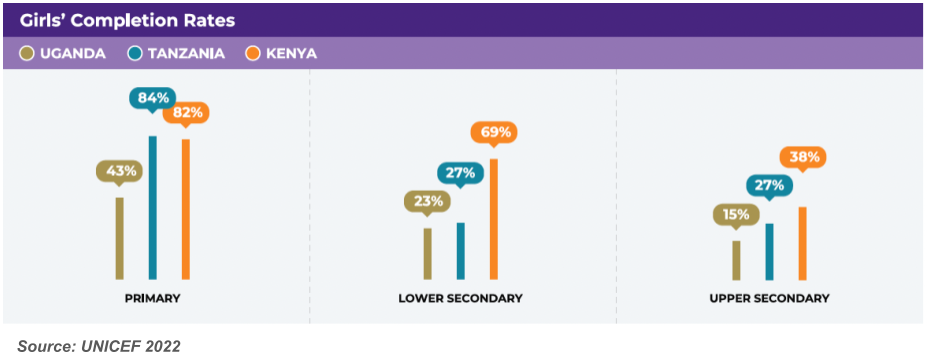 Creating impact at the local level for girls: Learning from girls ...