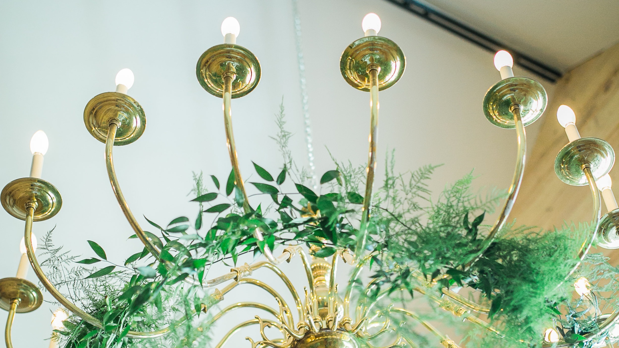 Weddings — Ryan Family Farm