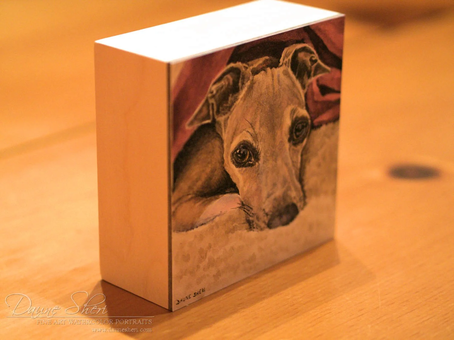 Pet Portraits — Daune Sheri