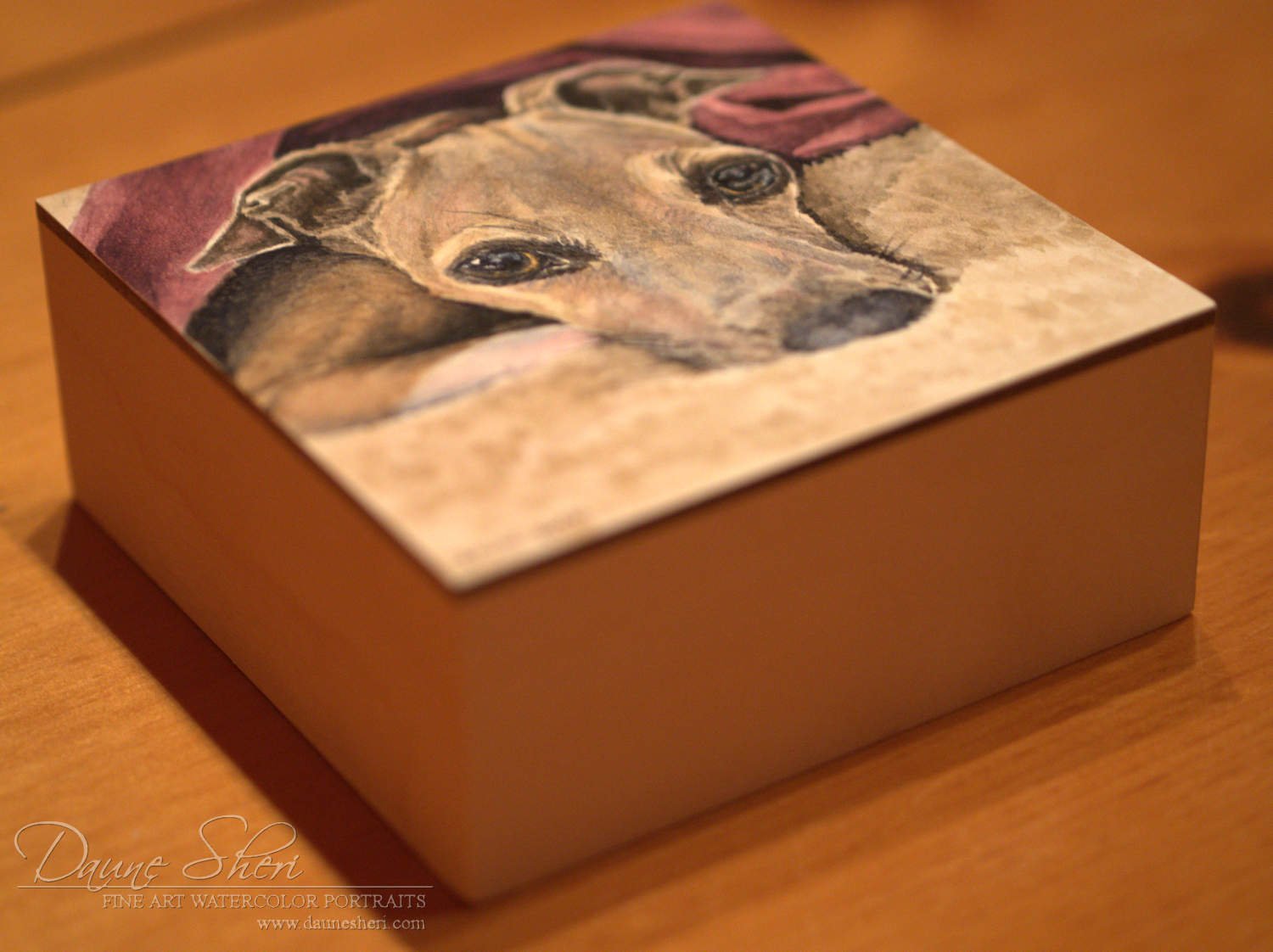 Pet Portraits — Daune Sheri