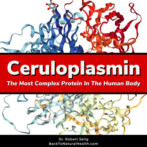 Ceruloplasmin: The Most Complex Protein In The Human Body — Back to ...