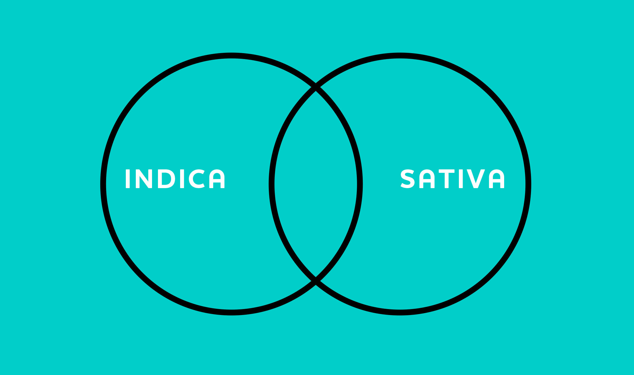 About Medical Marijuana - Strains, Cannabinoids, and Terpenes — Maitri ...