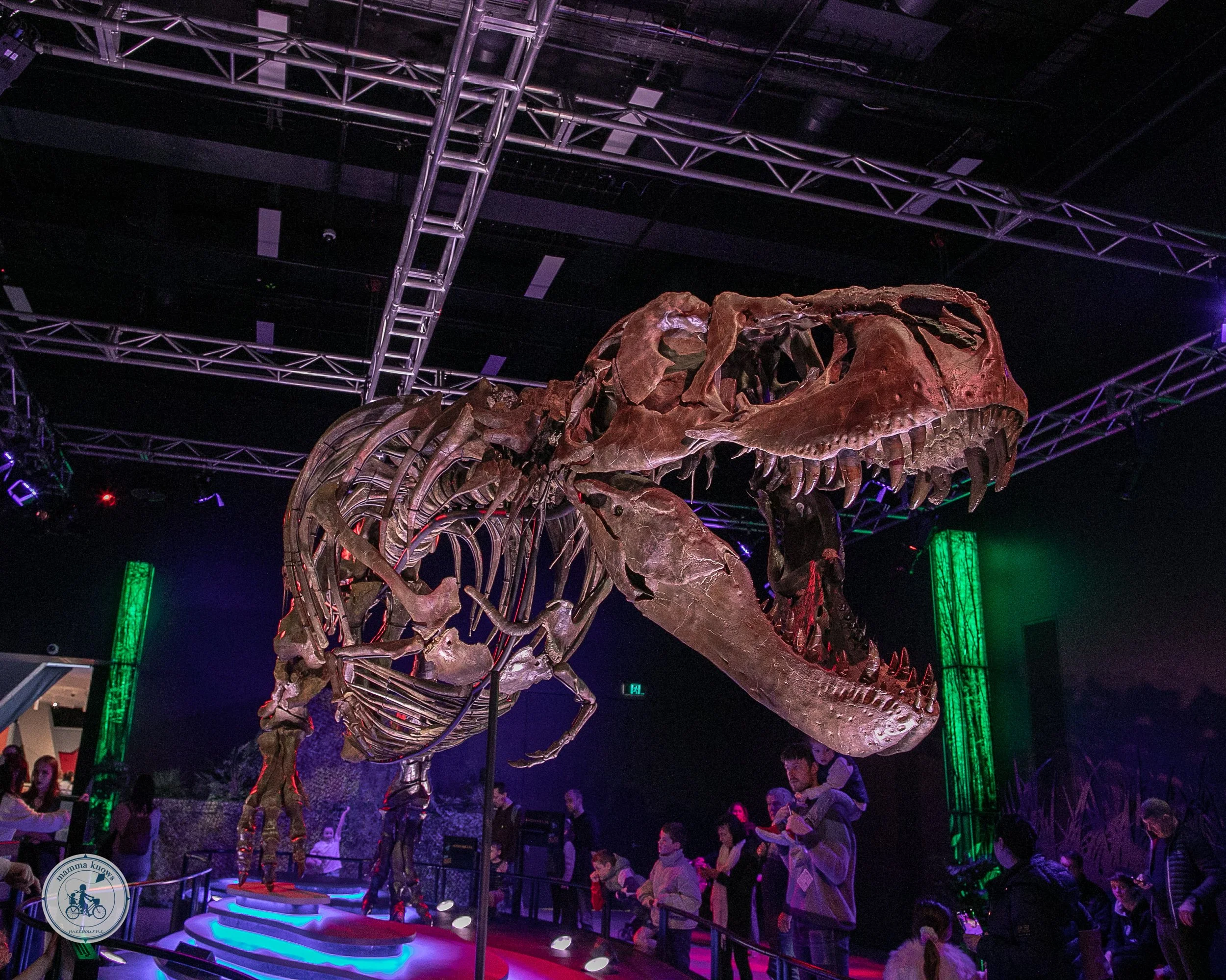 events, exhibitions + festivals — mamma knows melbourne