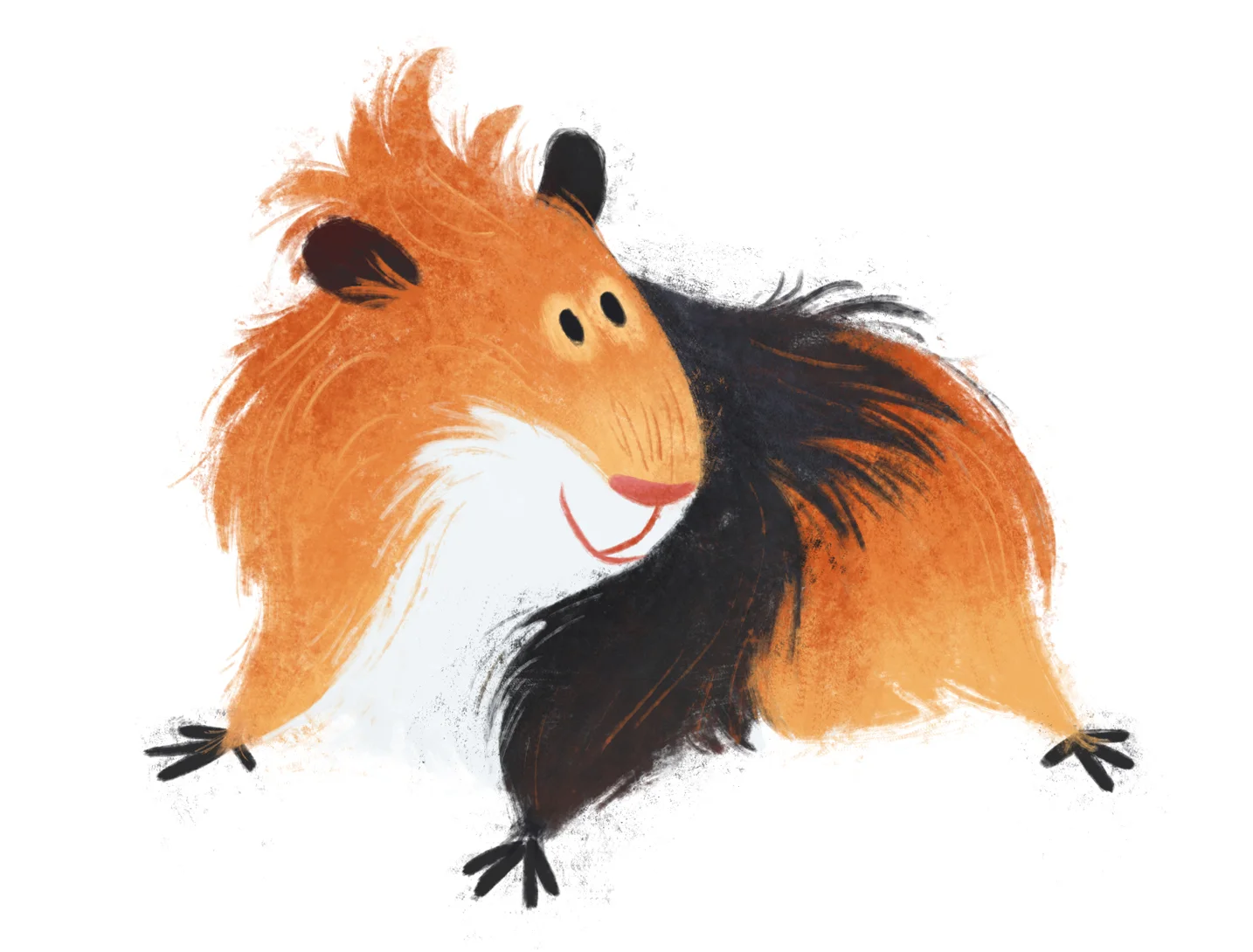 Gillian Reid Illustration and Character Design