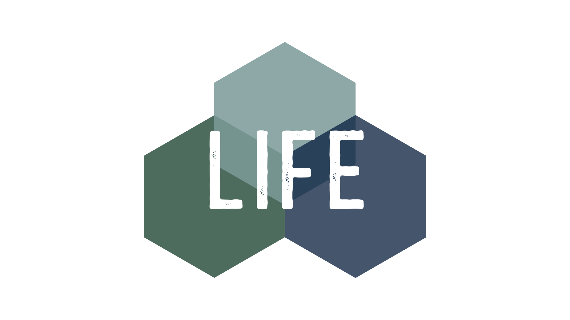 The Life Course — The Tron Church
