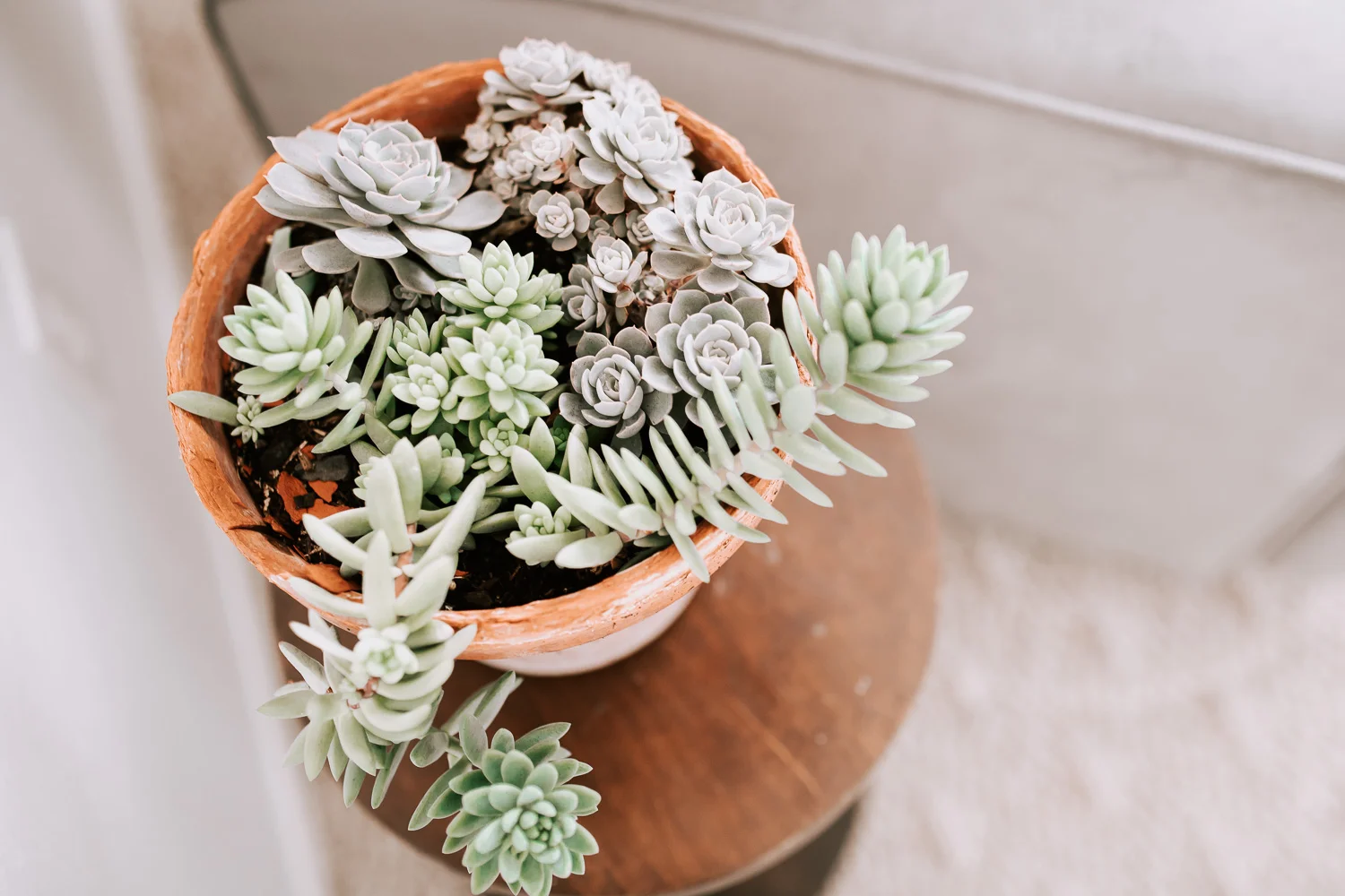 Brigette Billups Photography-Wells | Lifestyle Newborn Session in ...