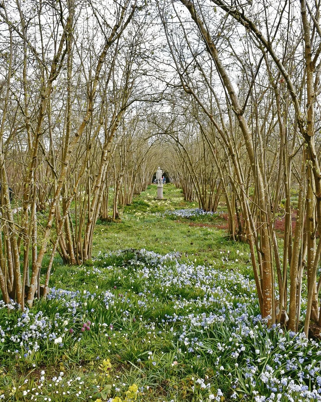 Spring at Sissinghurst — Skye O'Neill
