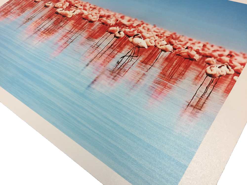 NEW FROM KOMPAC: Chambered Anilox for Soft Touch & Matte Coatings ...