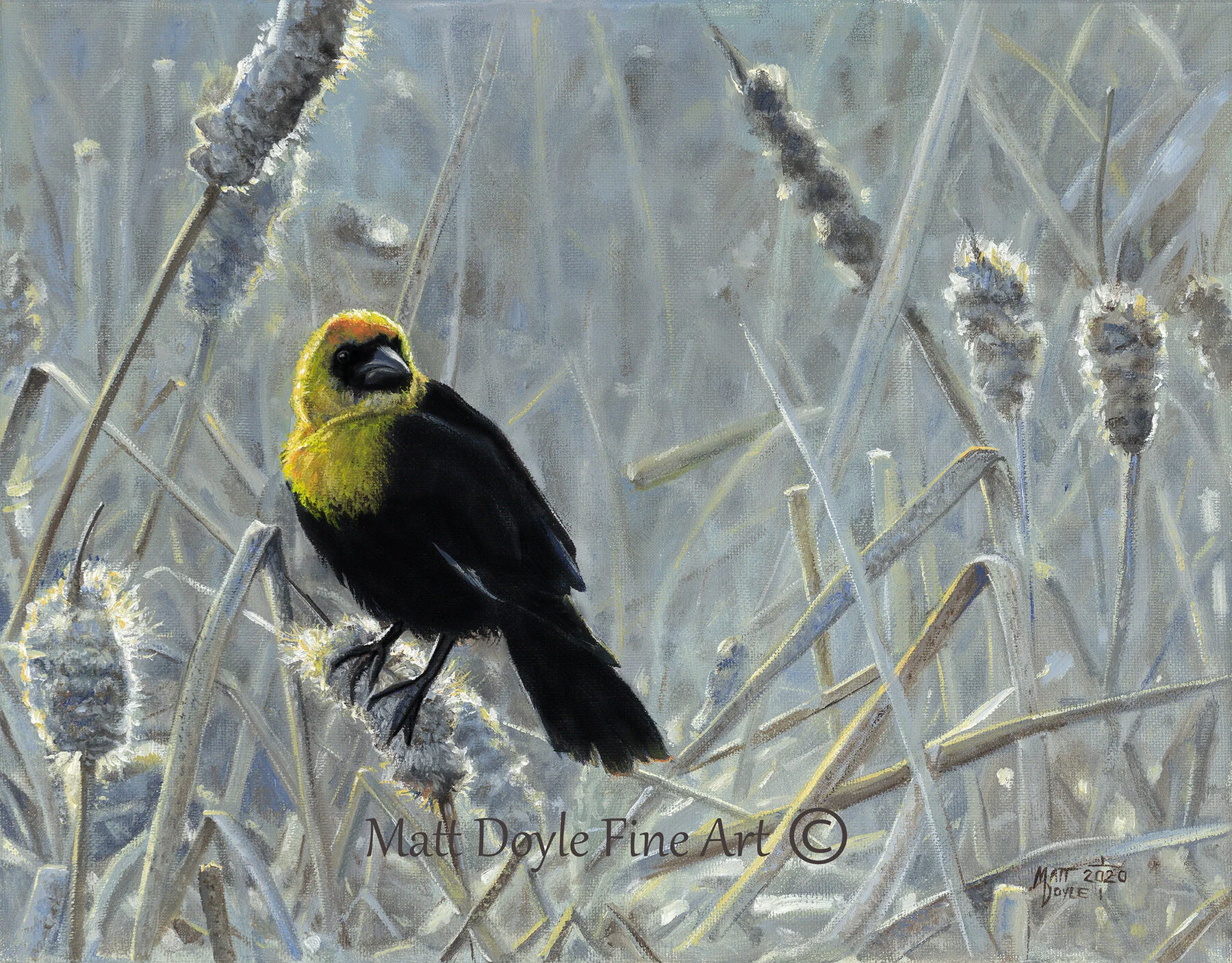 Available Paintings — Matt Doyle Fine Art