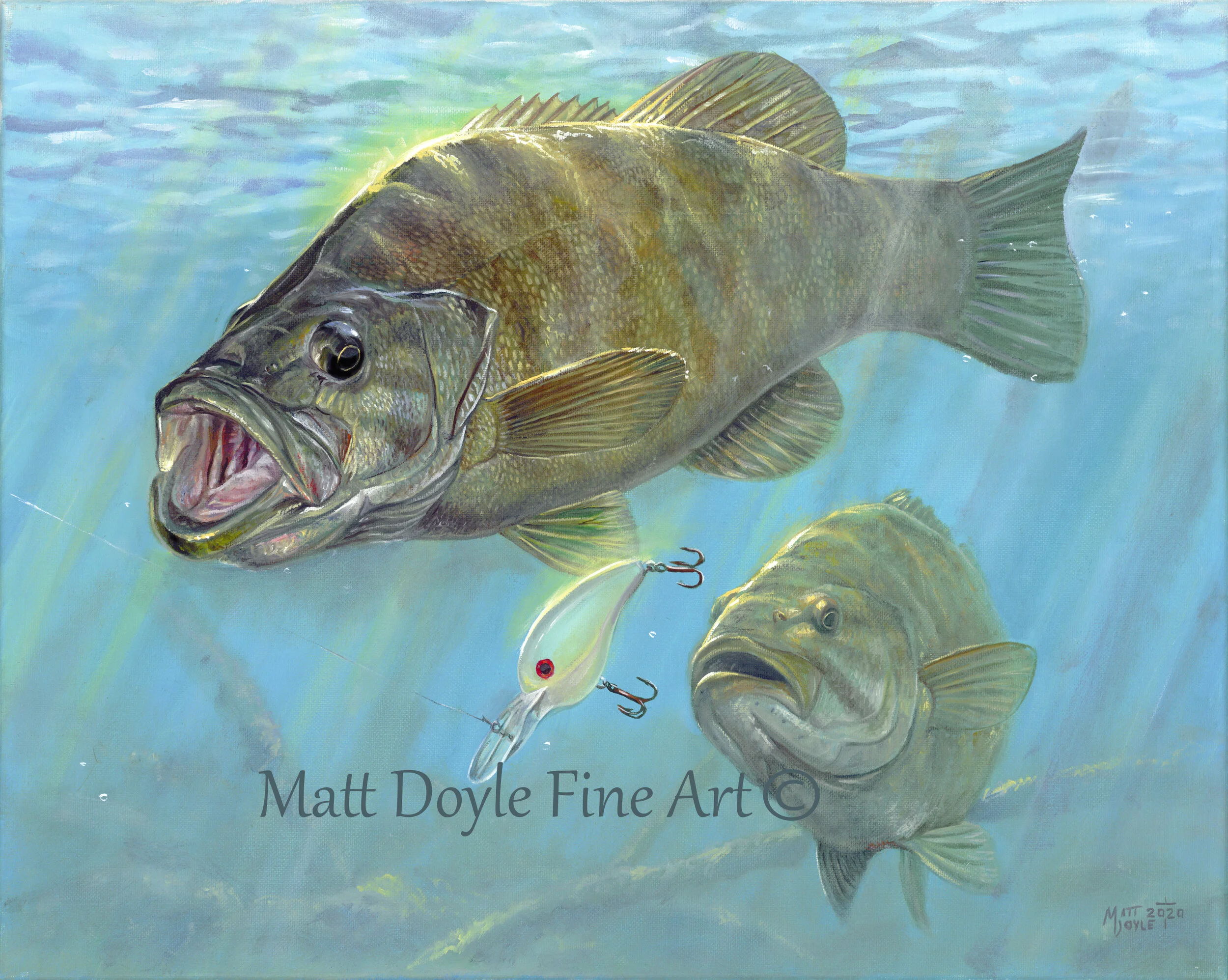 Smallmouth Bass Painting