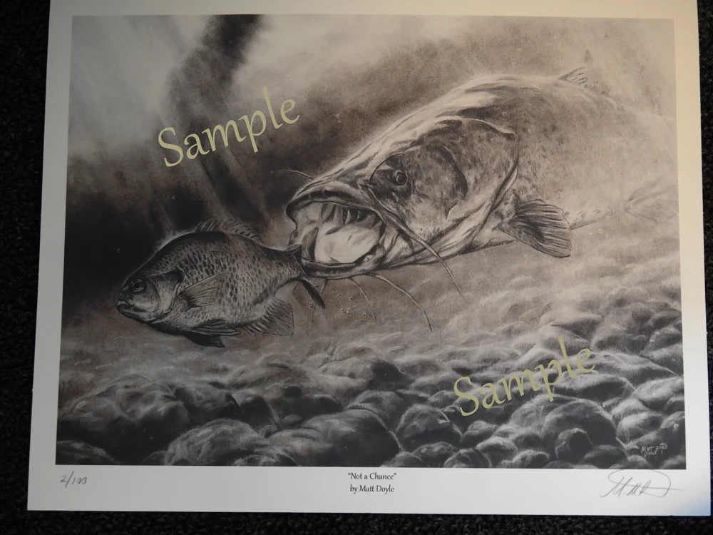 Catfish Painting