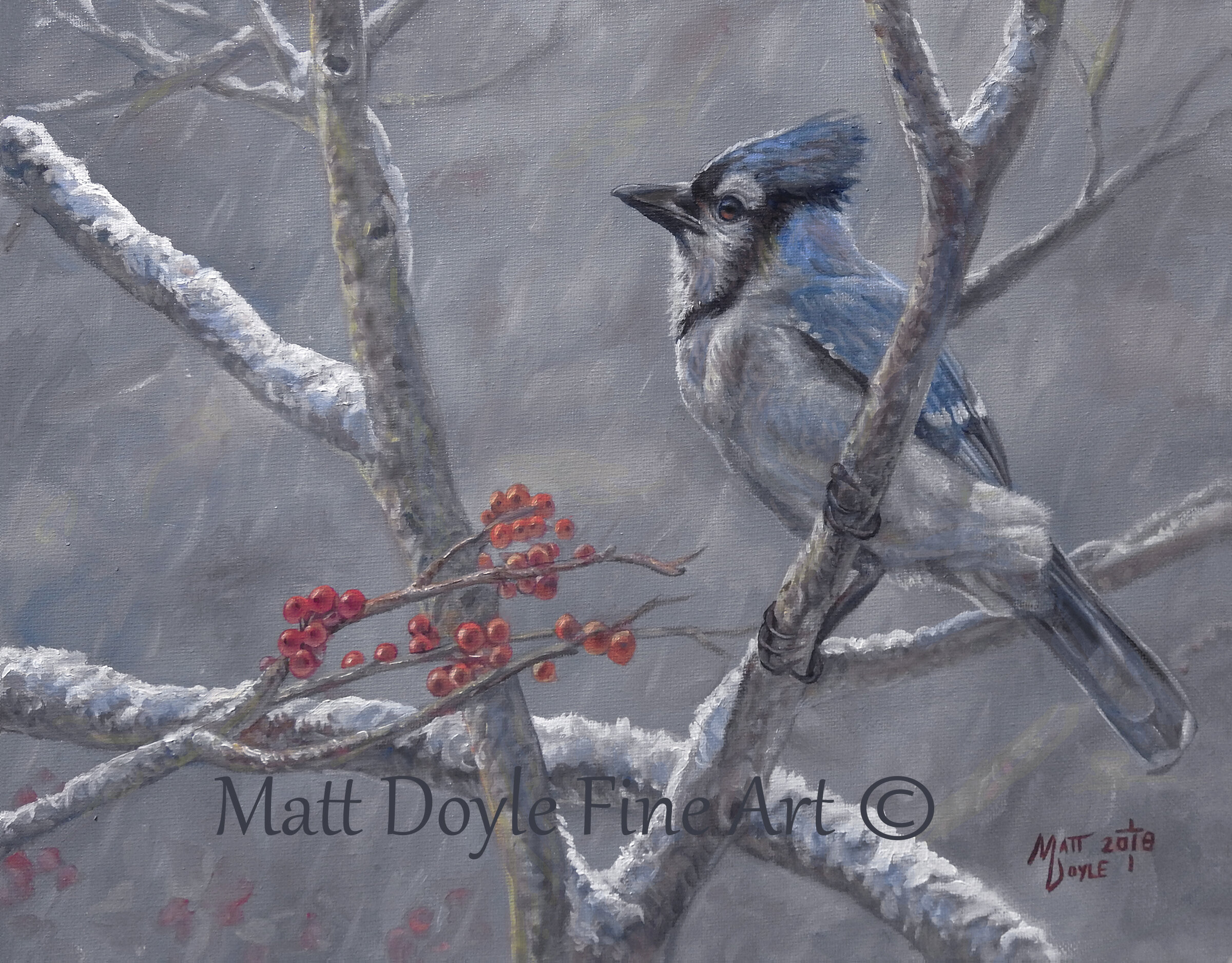 Birds — Matt Doyle Fine Art