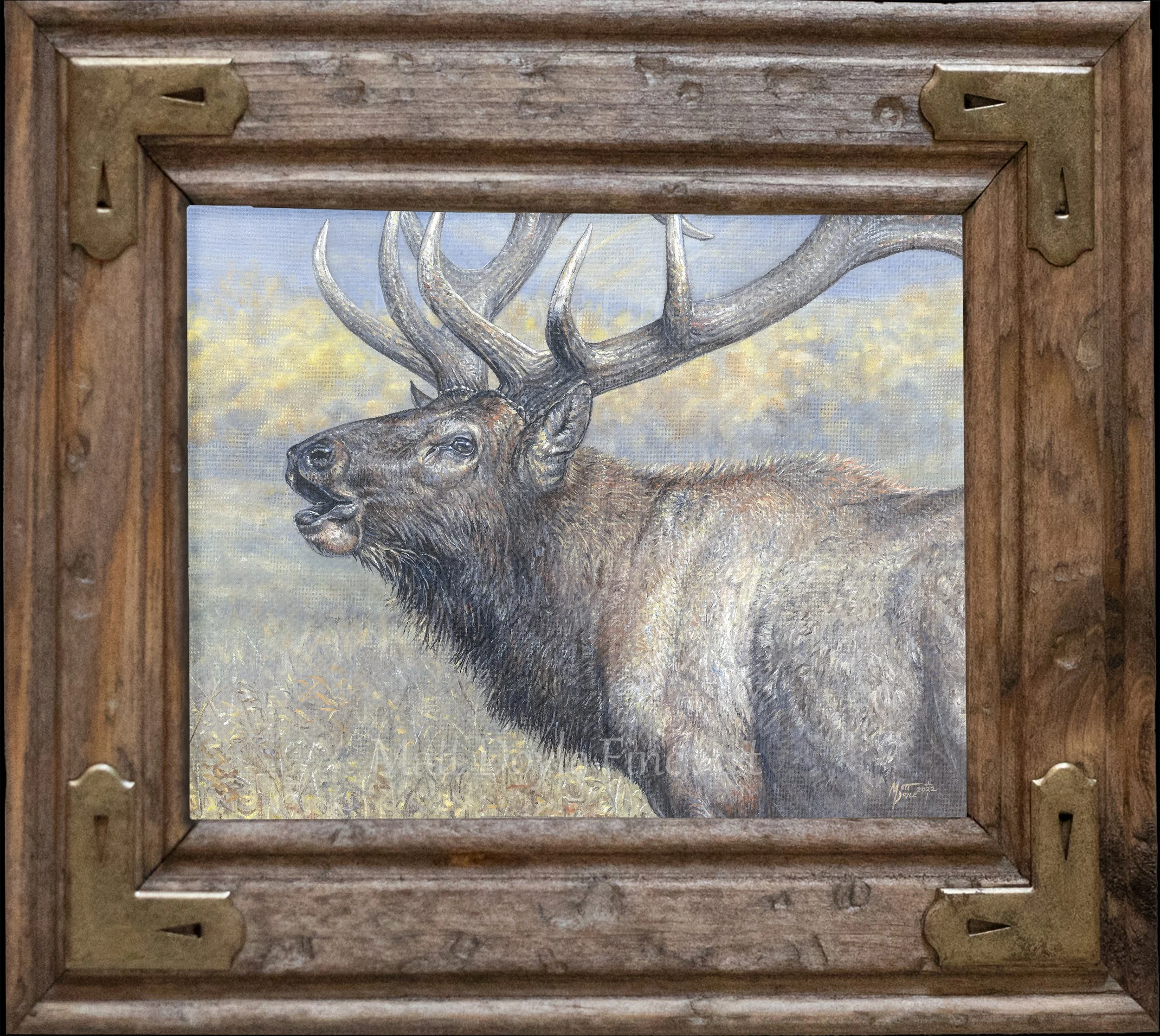 Elk and Moose — Matt Doyle Fine Art