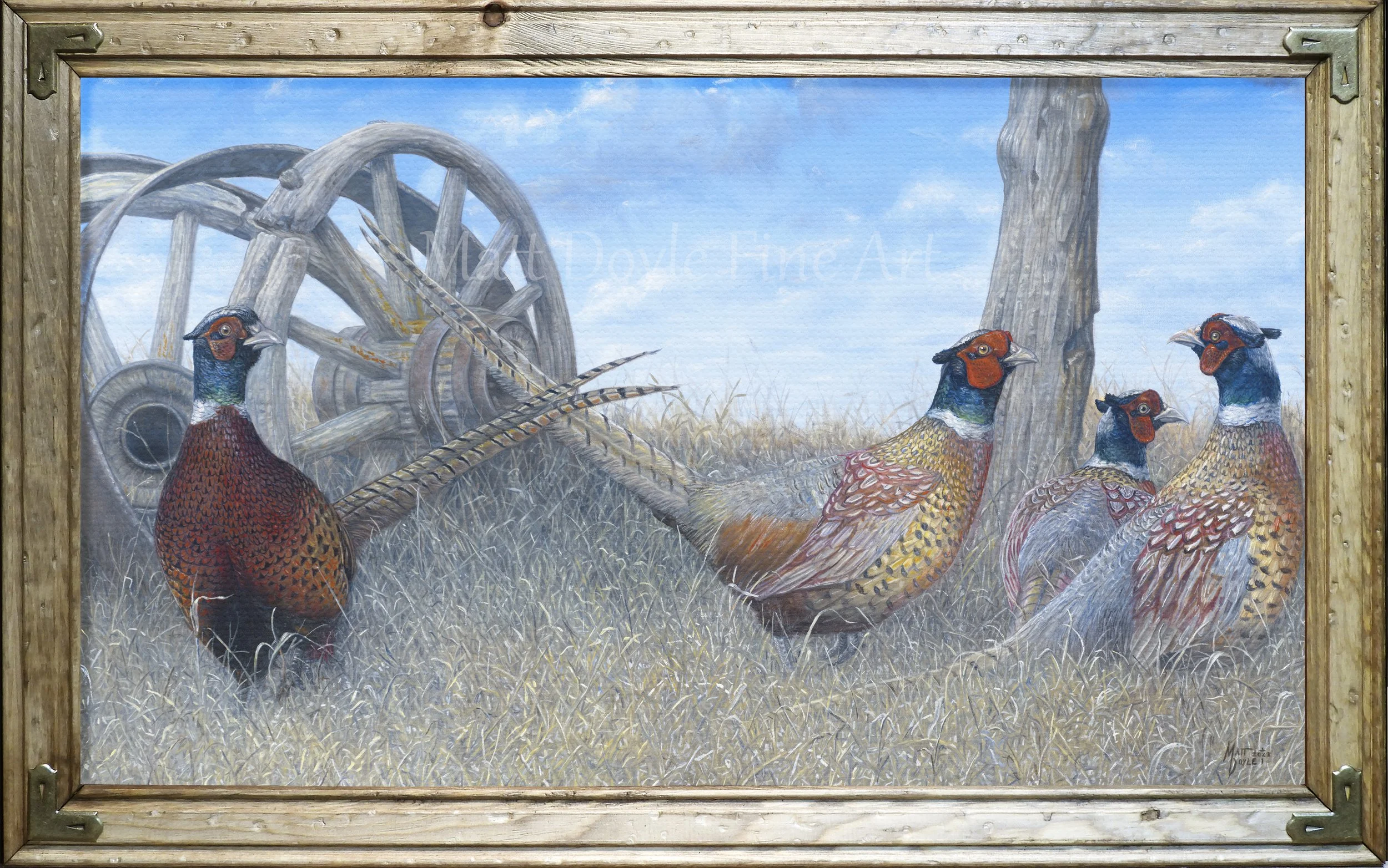 Birds — Matt Doyle Fine Art