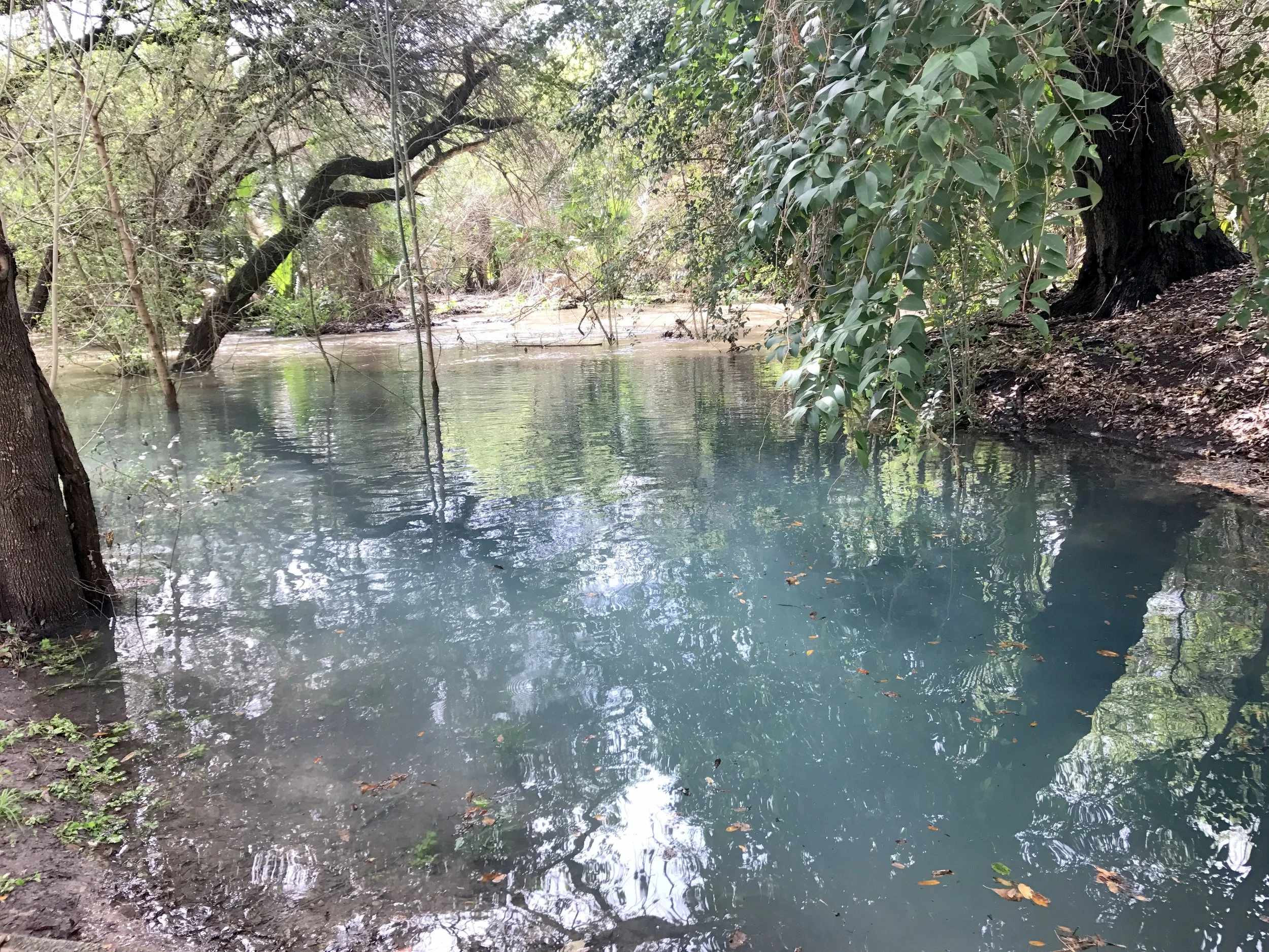 Directions and Conduct — Headwaters at Incarnate Word