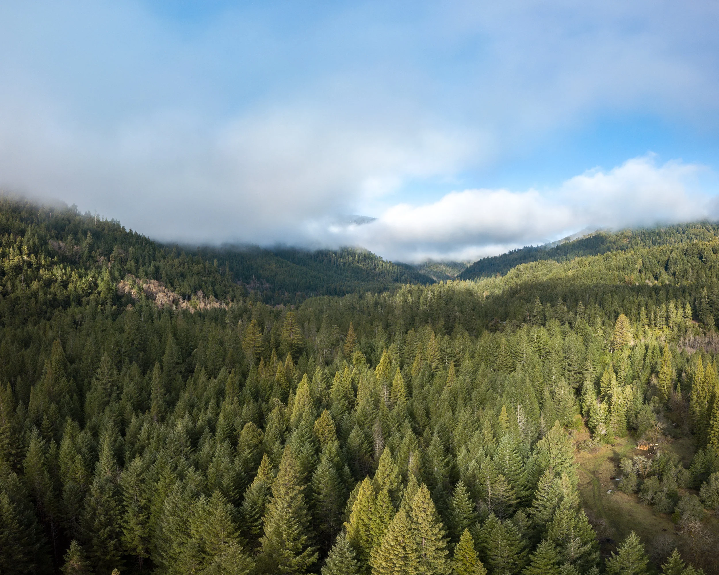 FORESTSCAPES LLC