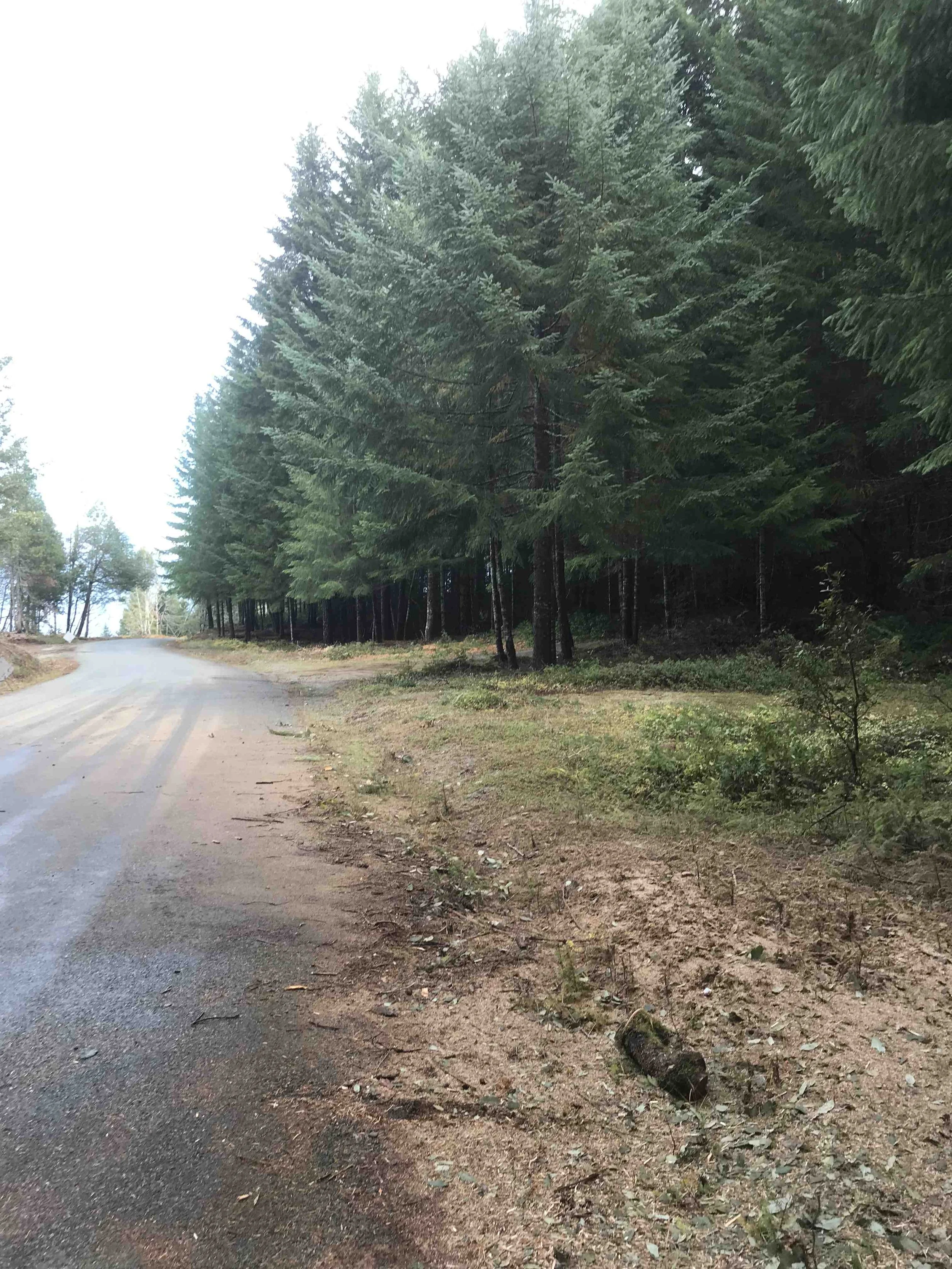 Projects — FORESTSCAPES LLC