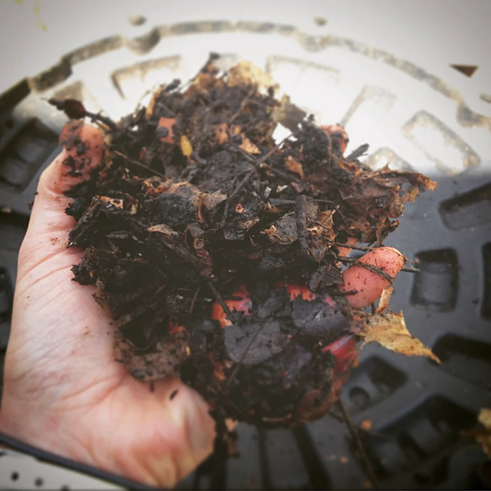COMPOSTING QUICK TIPS — Harvesting Roots