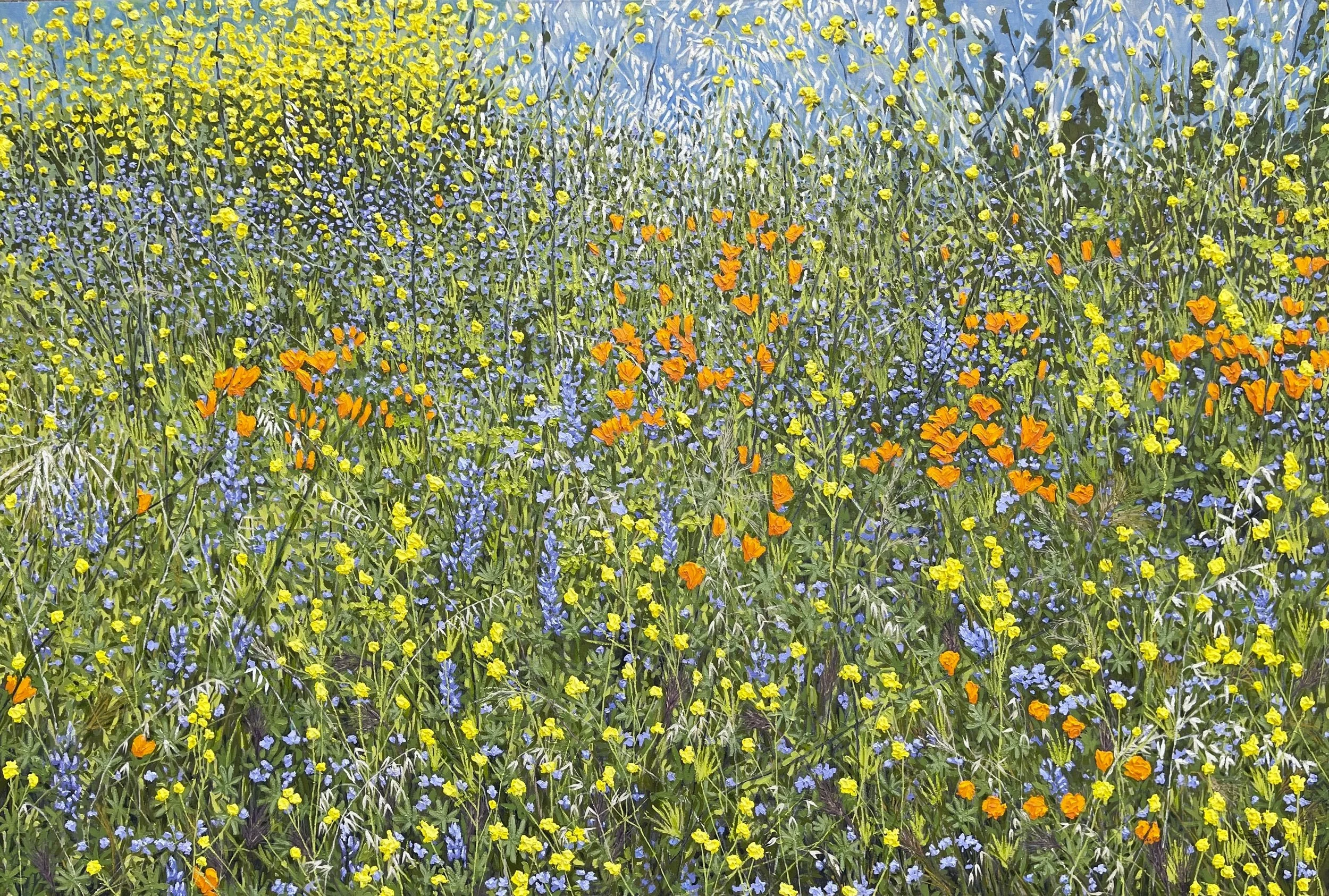 Large Scale Wildflowers — Lisa Baldwin