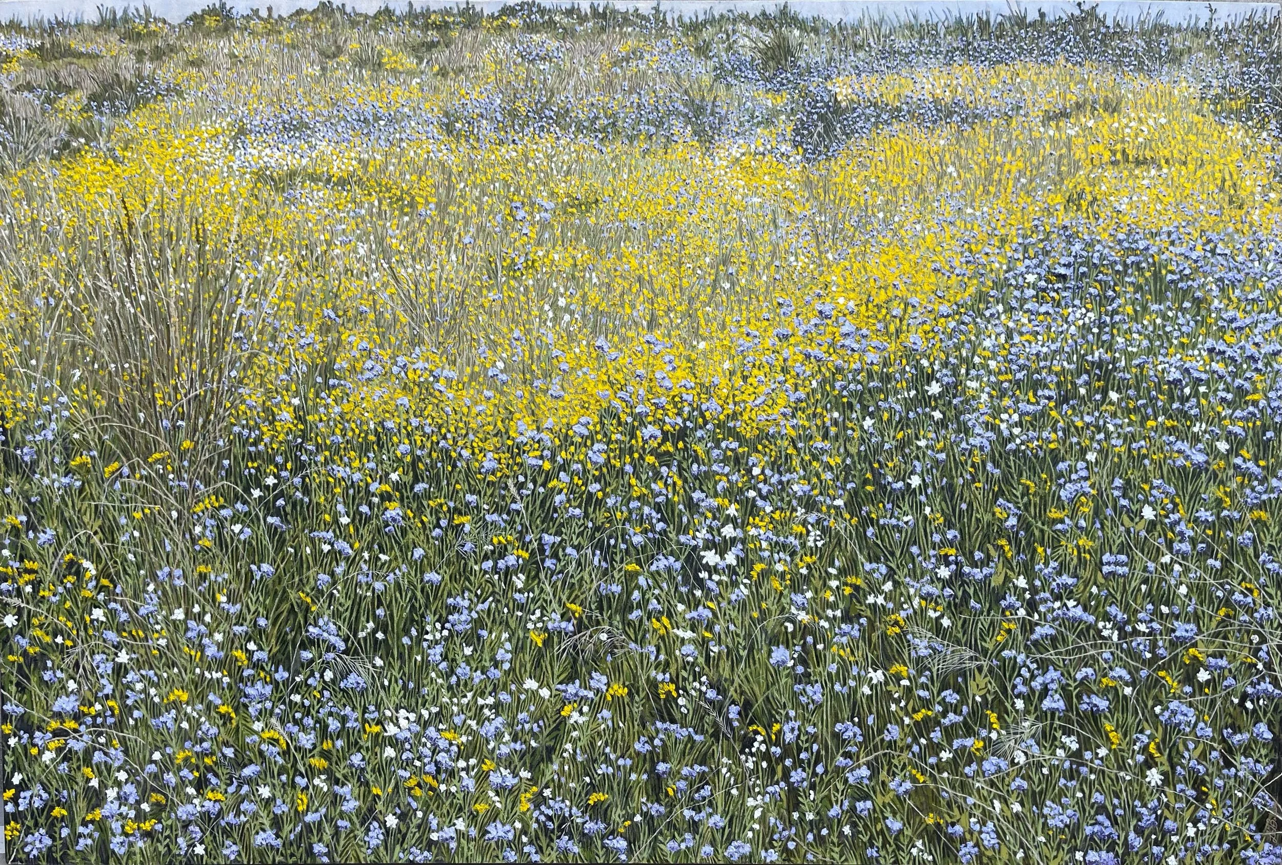 Large Scale Wildflowers — Lisa Baldwin