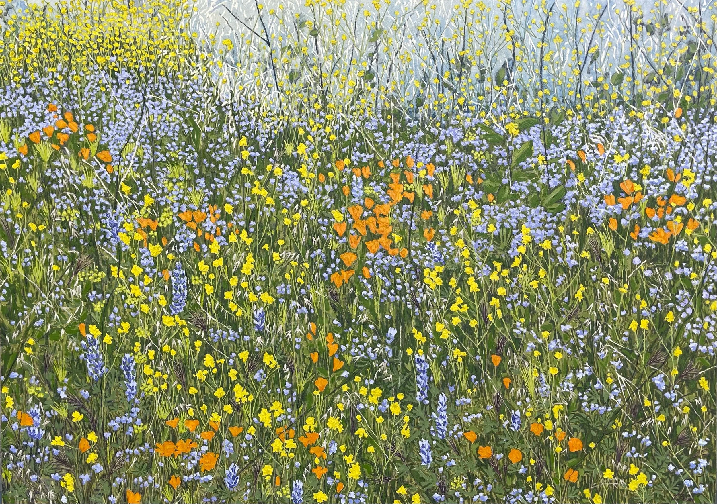 Large Scale Wildflowers — Lisa Baldwin