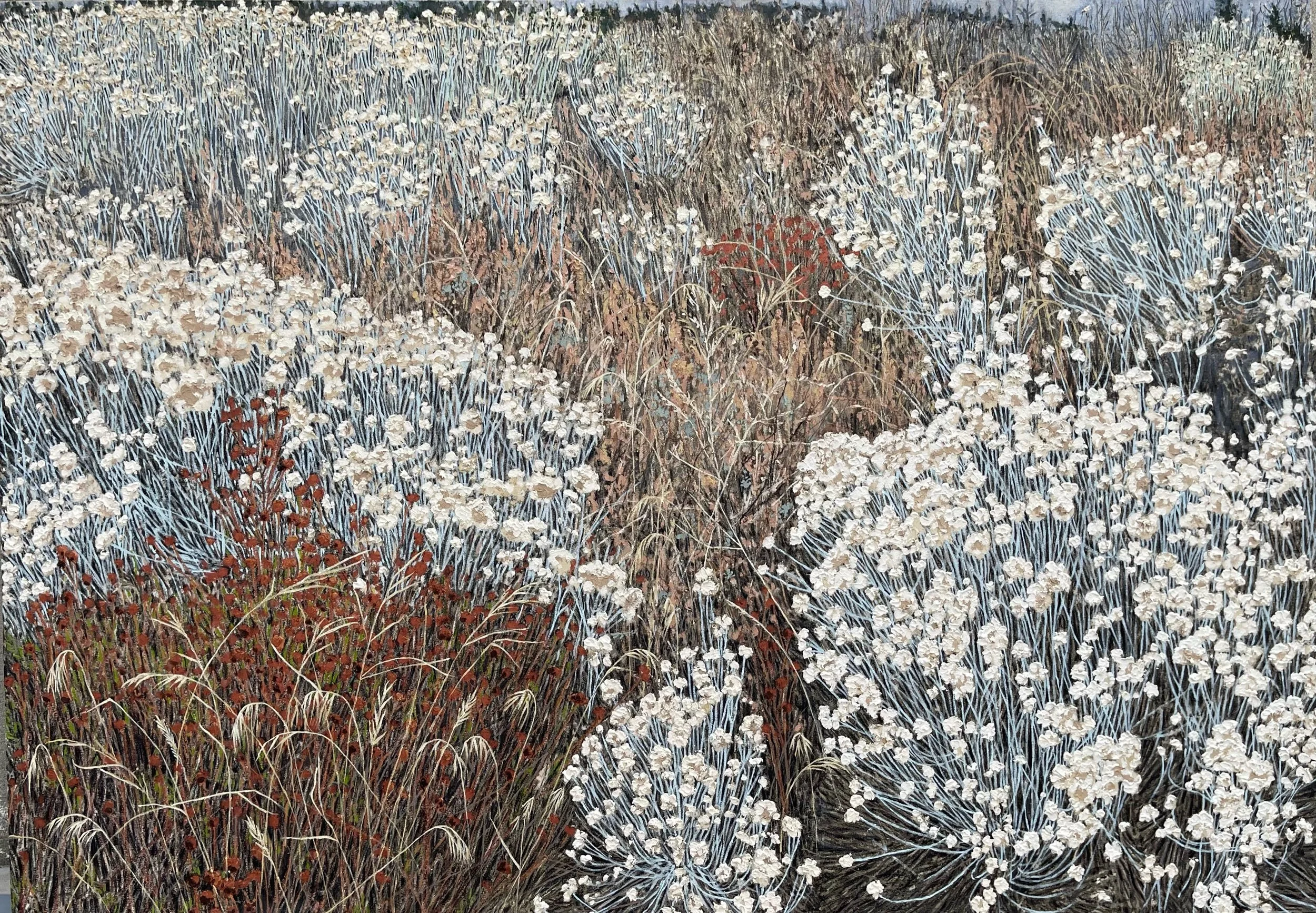 Large Scale Wildflowers — Lisa Baldwin
