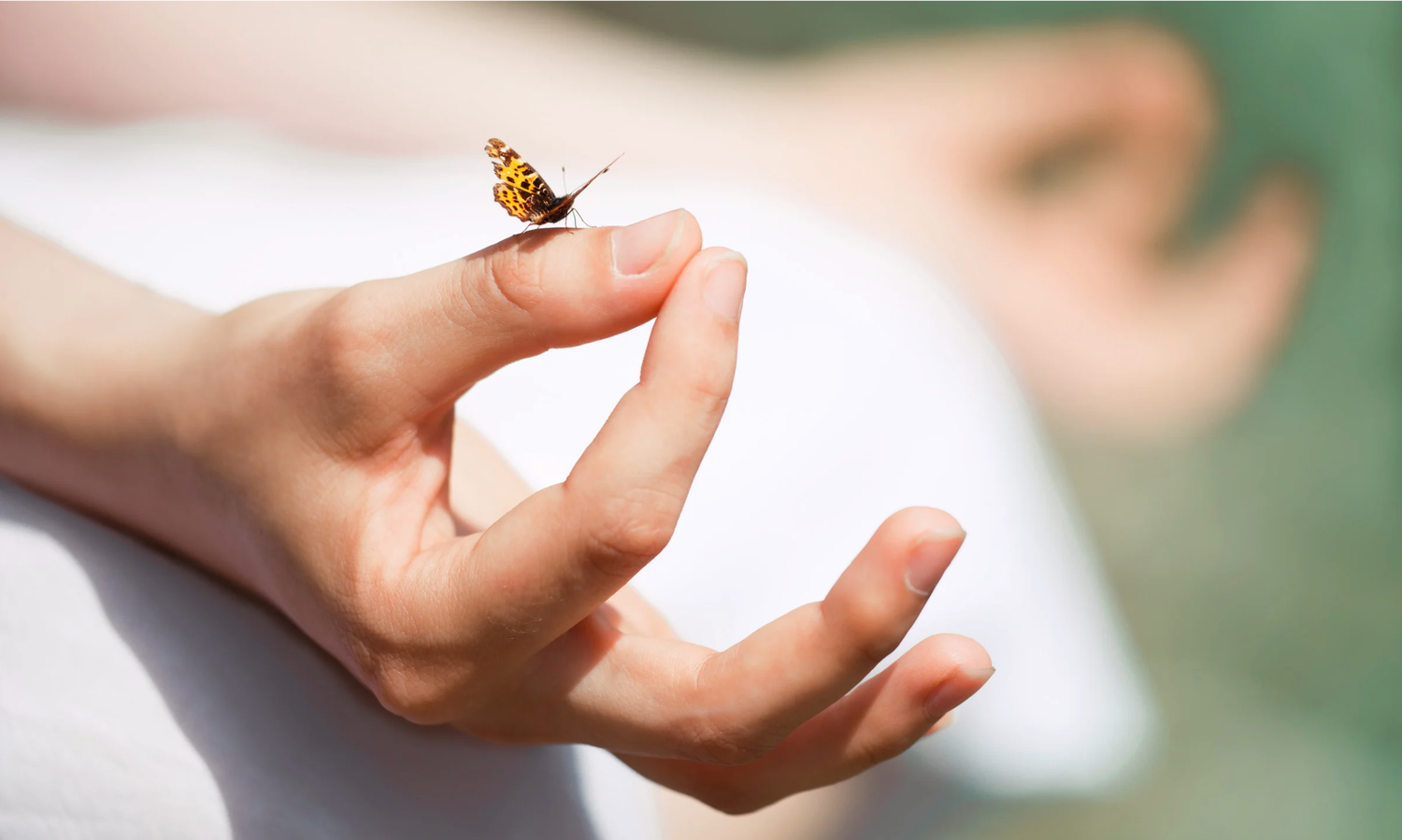 Experiment with Light Meditation — North Shore Unitarians
