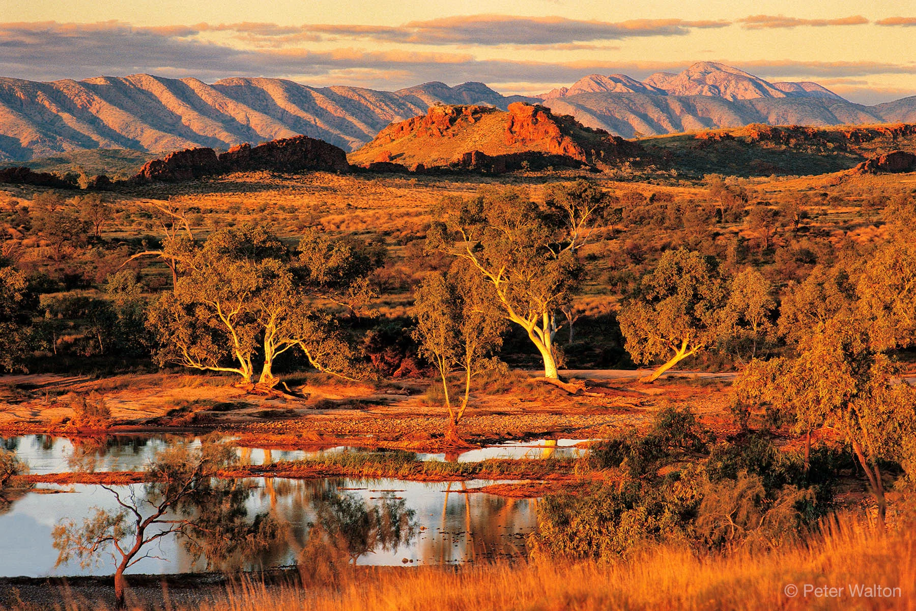 australia-landscape-people-nature — Peter Waltons Art