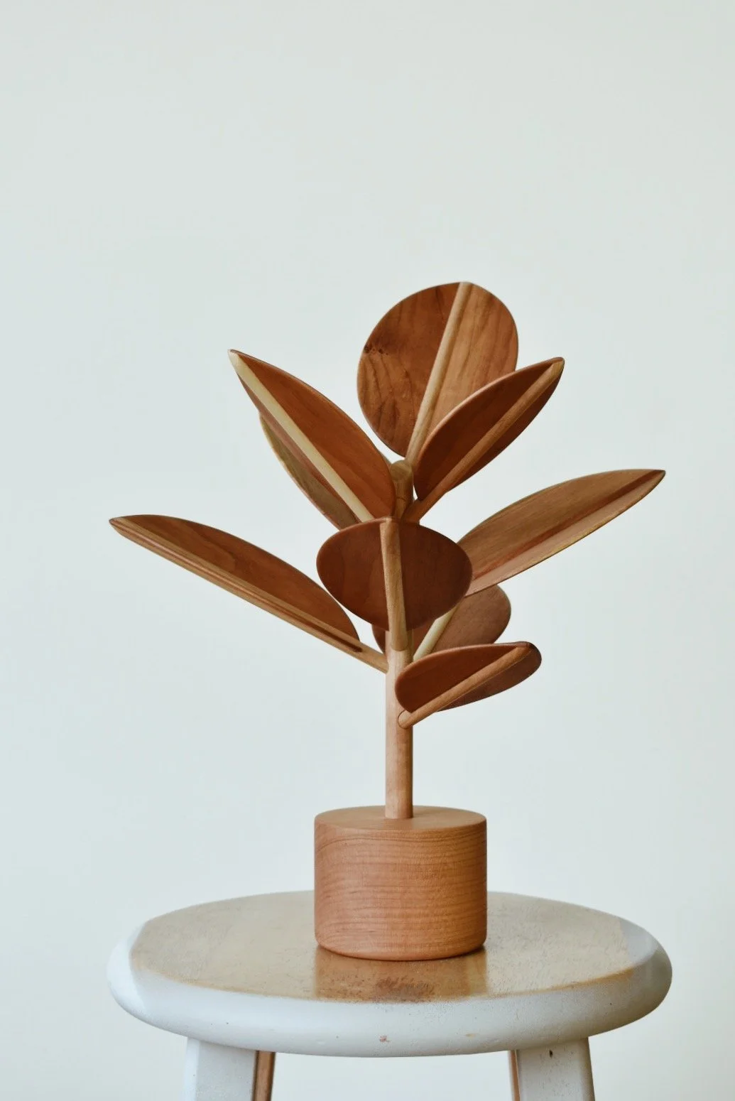 Plant Series — AG Design