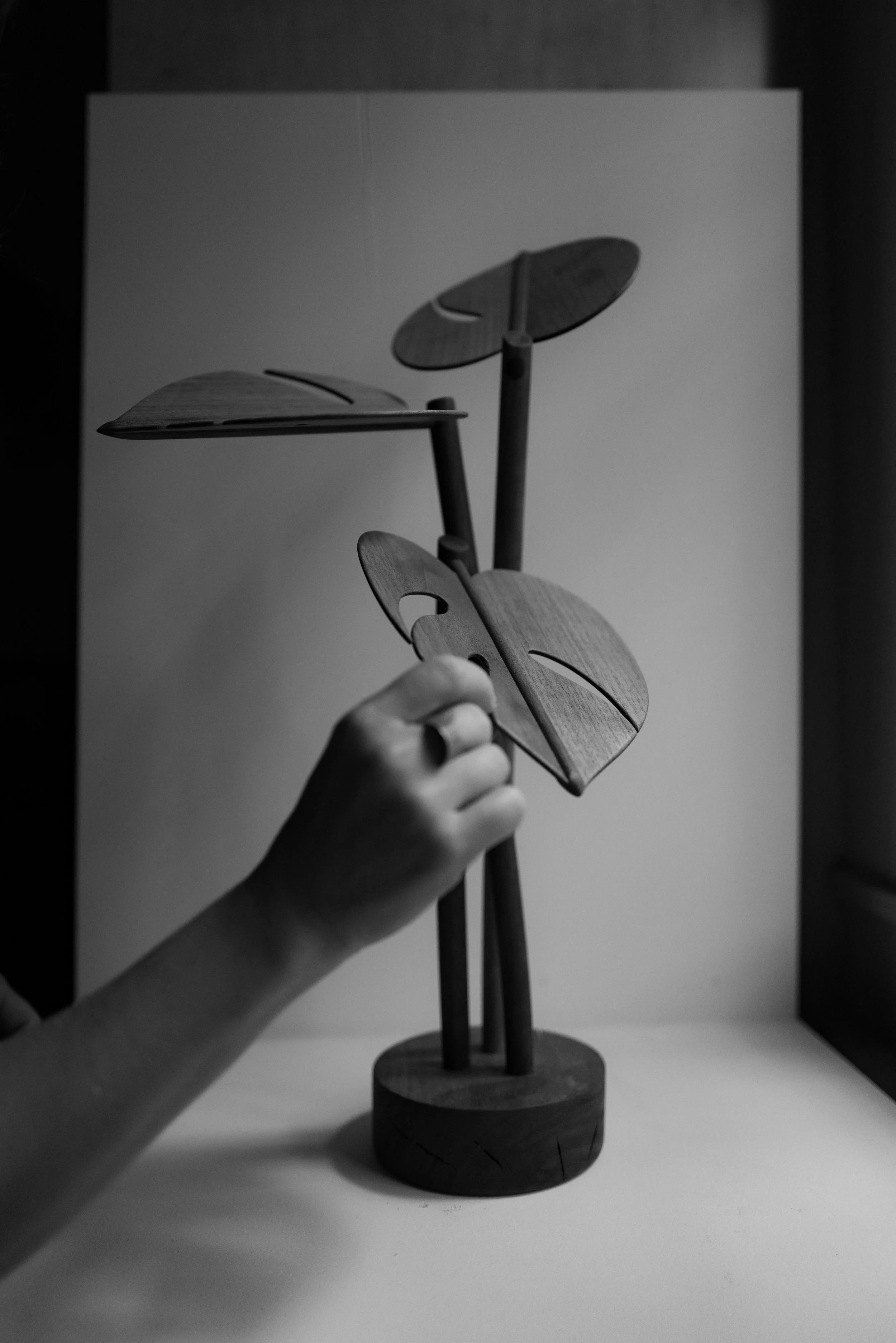 Plant Sculpture Series — AG Design