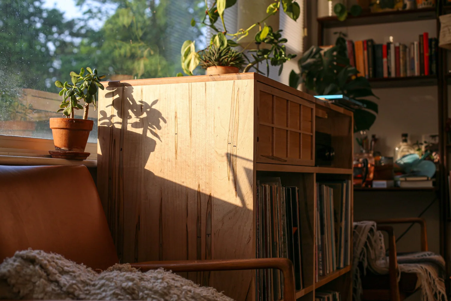Sunroom Record Cabinet — AG Design