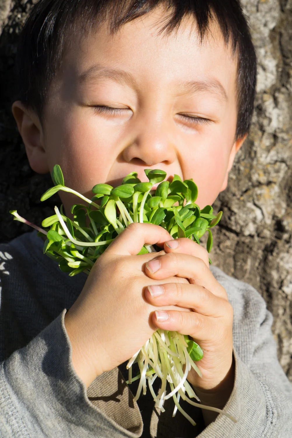 Mt. Olive Organic Farm