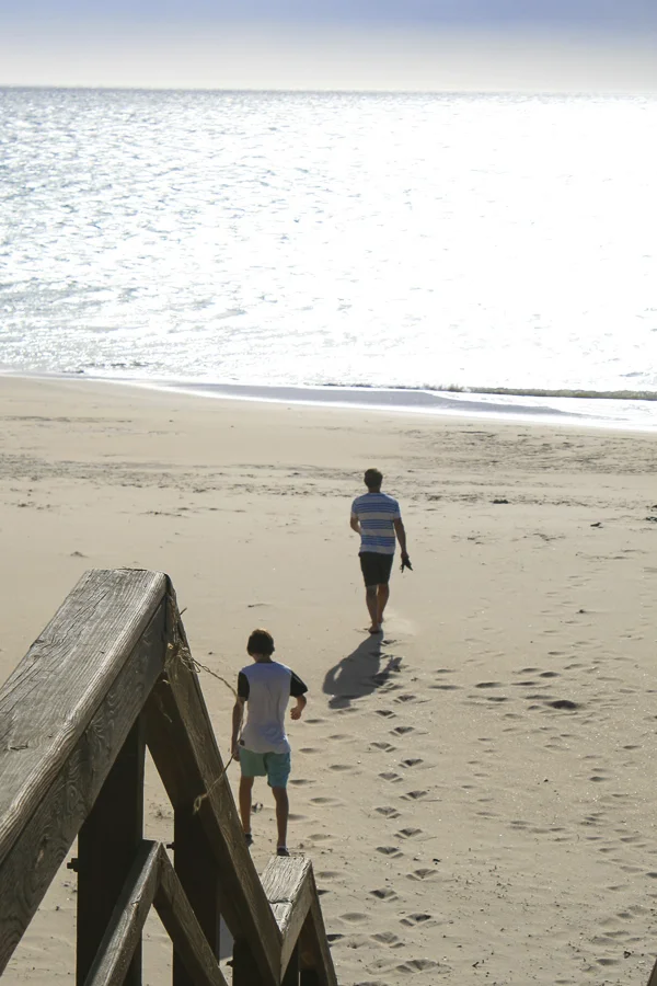 Our Delicious Adventure - Fleurieu Peninsula, SA - Australia — Jane Grover