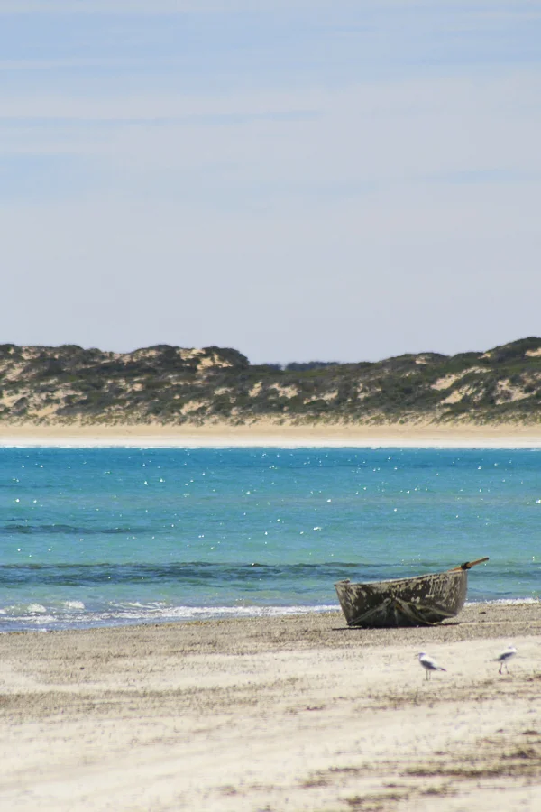 Our Delicious Adventure - Streaky Bay, SA - Australia — Jane Grover