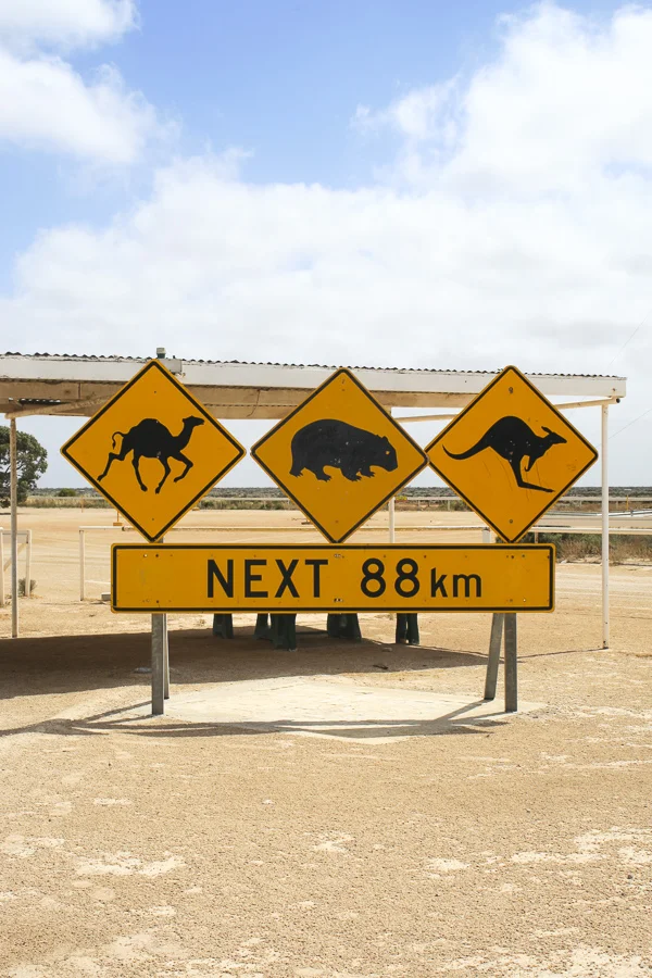 Our Delicious Adventure - The Nullarbor Crossing - South Australia to Western Australia — Jane ...