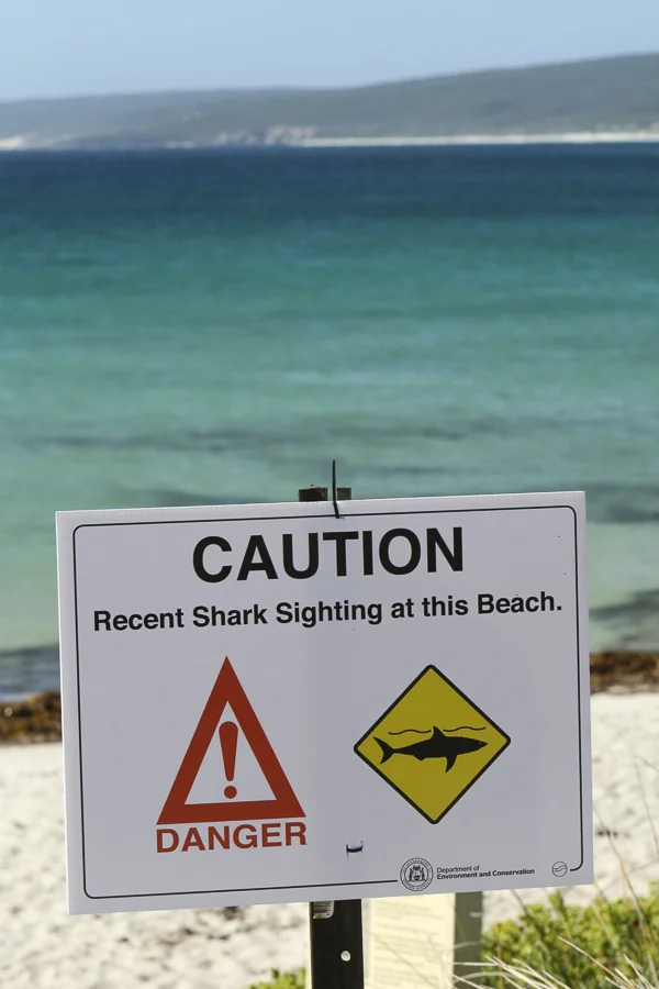 Our Delicious Adventure - South West Coast, Western Australia — Jane Grover