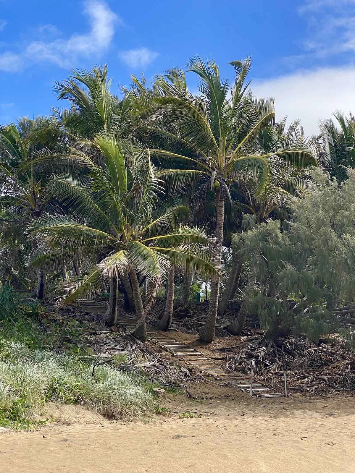 Postcards from the Road - 1770 & Agnes Water, QLD — Jane Grover
