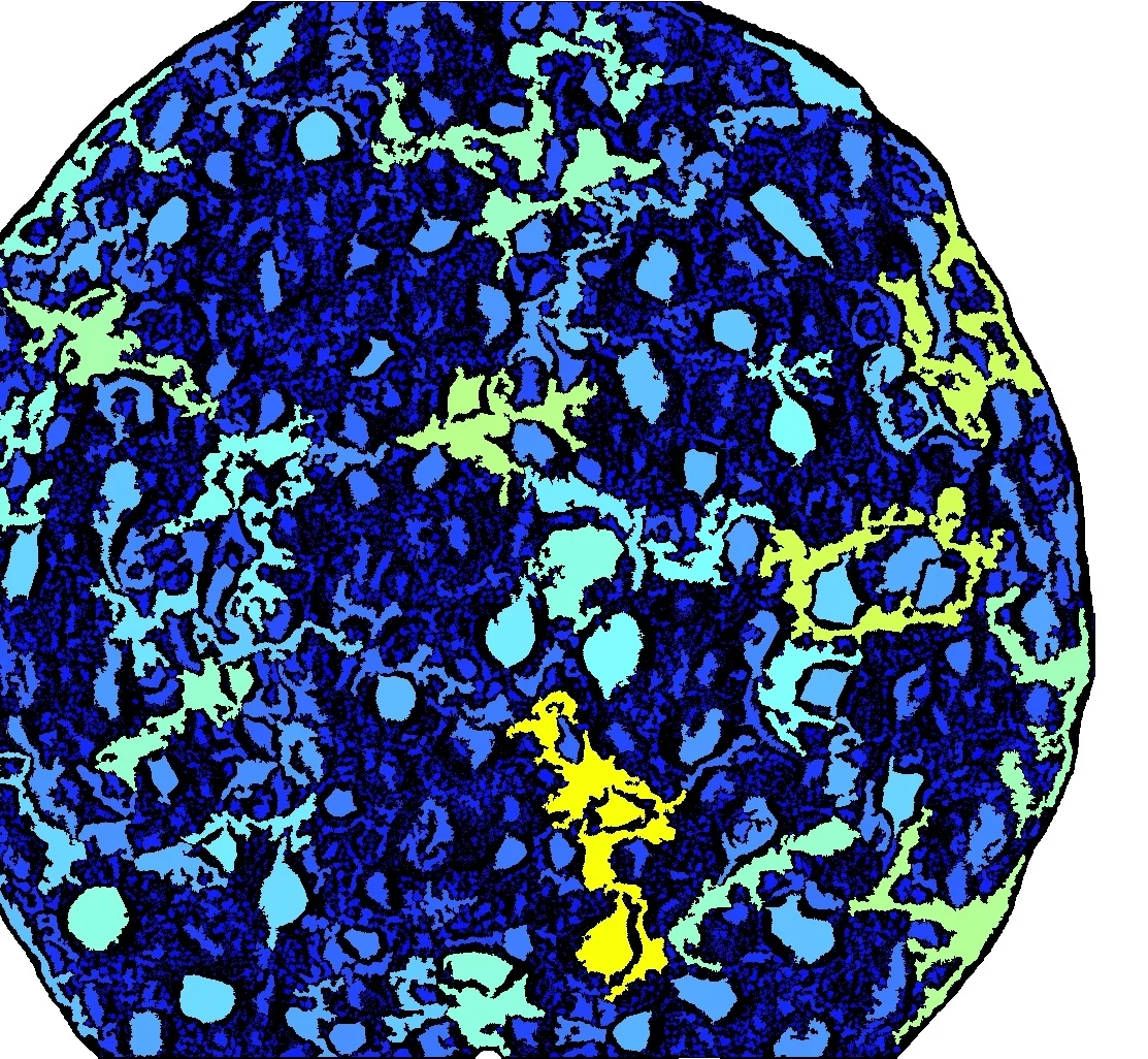 Data Analysis — C-Cell