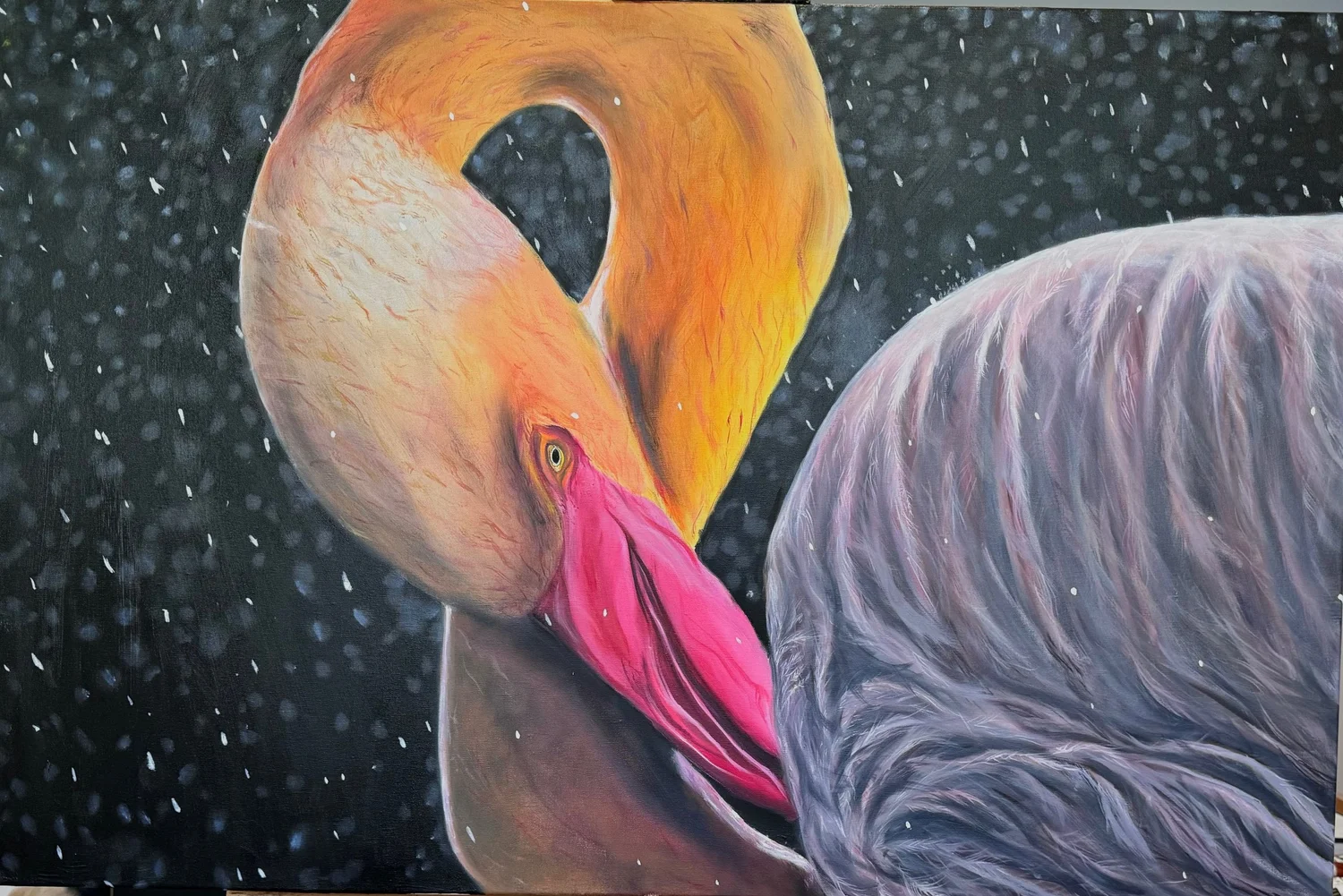 New Hampshire Art Association in Portsmouth, NH