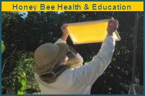 History of Honey Bees Across America — Los Angeles County Beekeepers ...