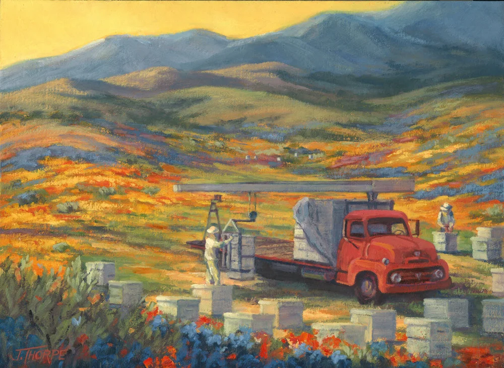 WEBSITE ART & PHOTOGRAPHY — Los Angeles County Beekeepers Association