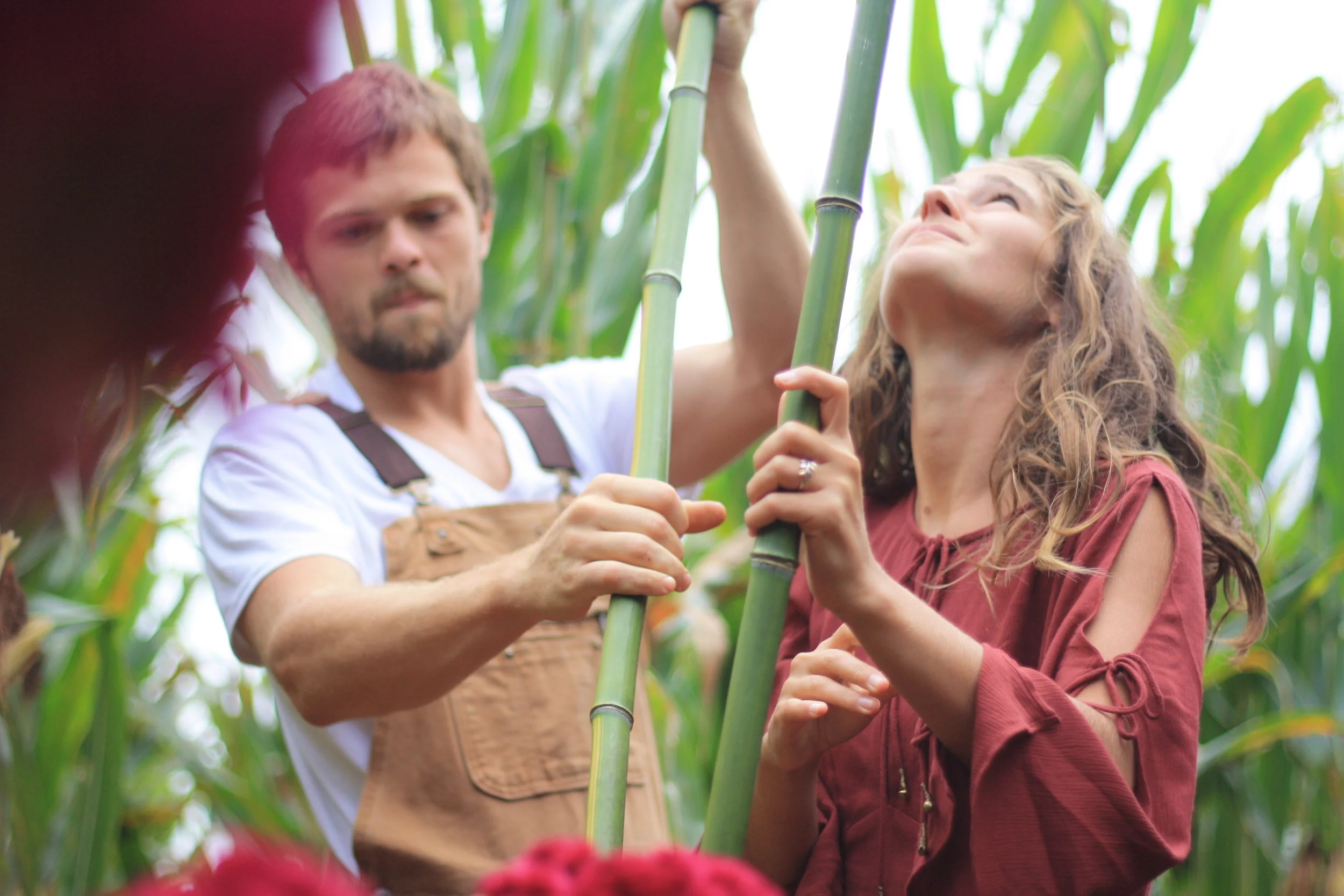 Establishing A Post — Homevestures