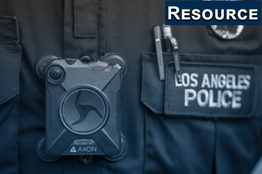 LAPD Video Release Fact Sheet — The Policing Project